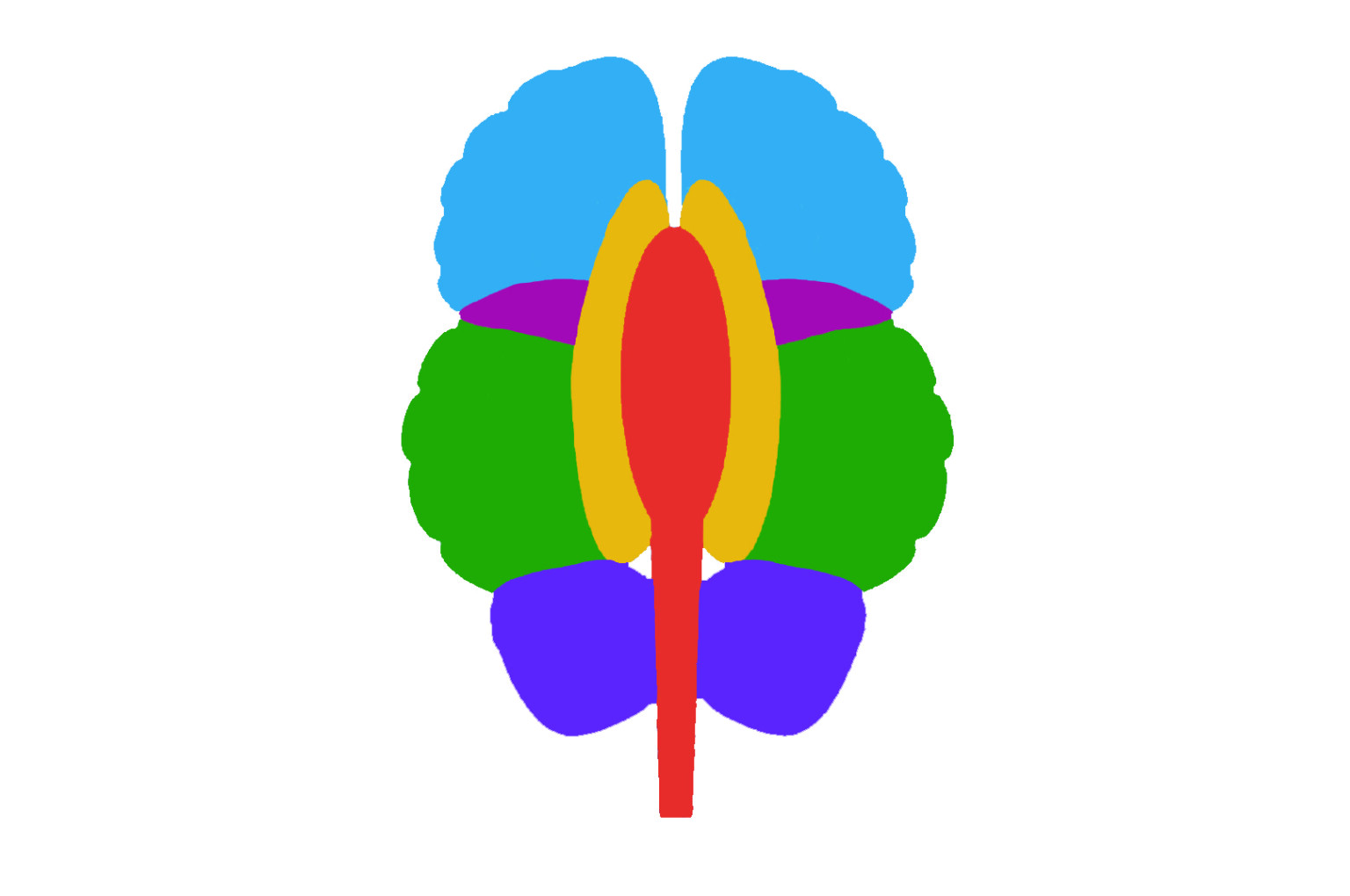 Het brein is (ook) om te bedriegen - Audit Magazine