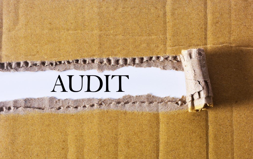 Internal audit binnen het Nederlandse hoger onderwijs - Audit Magazine